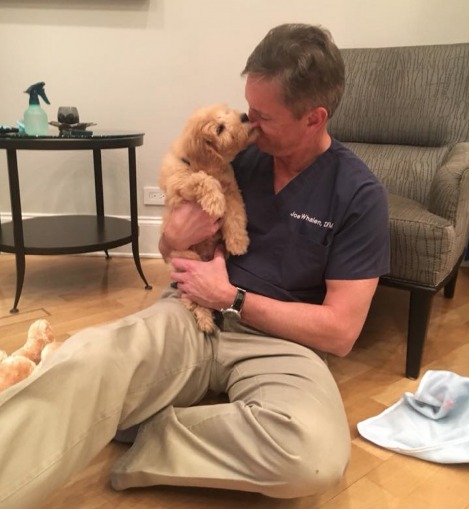 Our Team | Chicago Animal Rehab